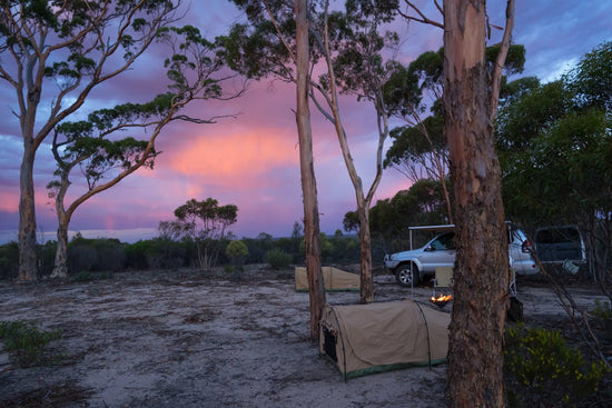 Holland Track | ADVENTURE CURATED